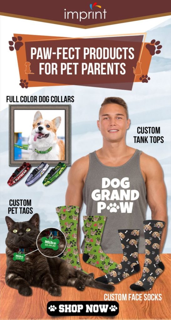 The Paw-fect Products for Pet Parents - Imprint.Com Blog